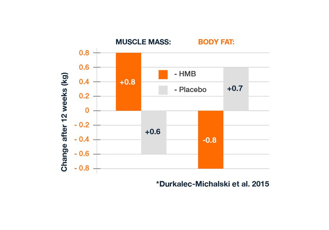 What Is Creatine? | A Complete Guide For Athletes. – Blonyx