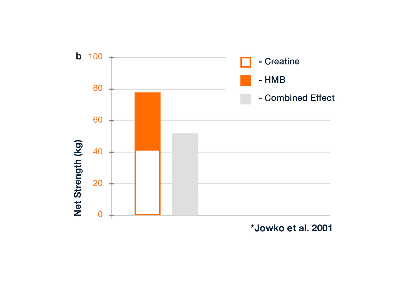 What Is Creatine? | A Complete Guide For Athletes. – Blonyx
