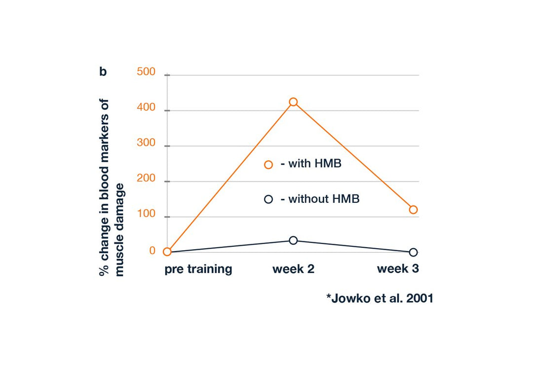 What Is Creatine? | A Complete Guide For Athletes. – Blonyx